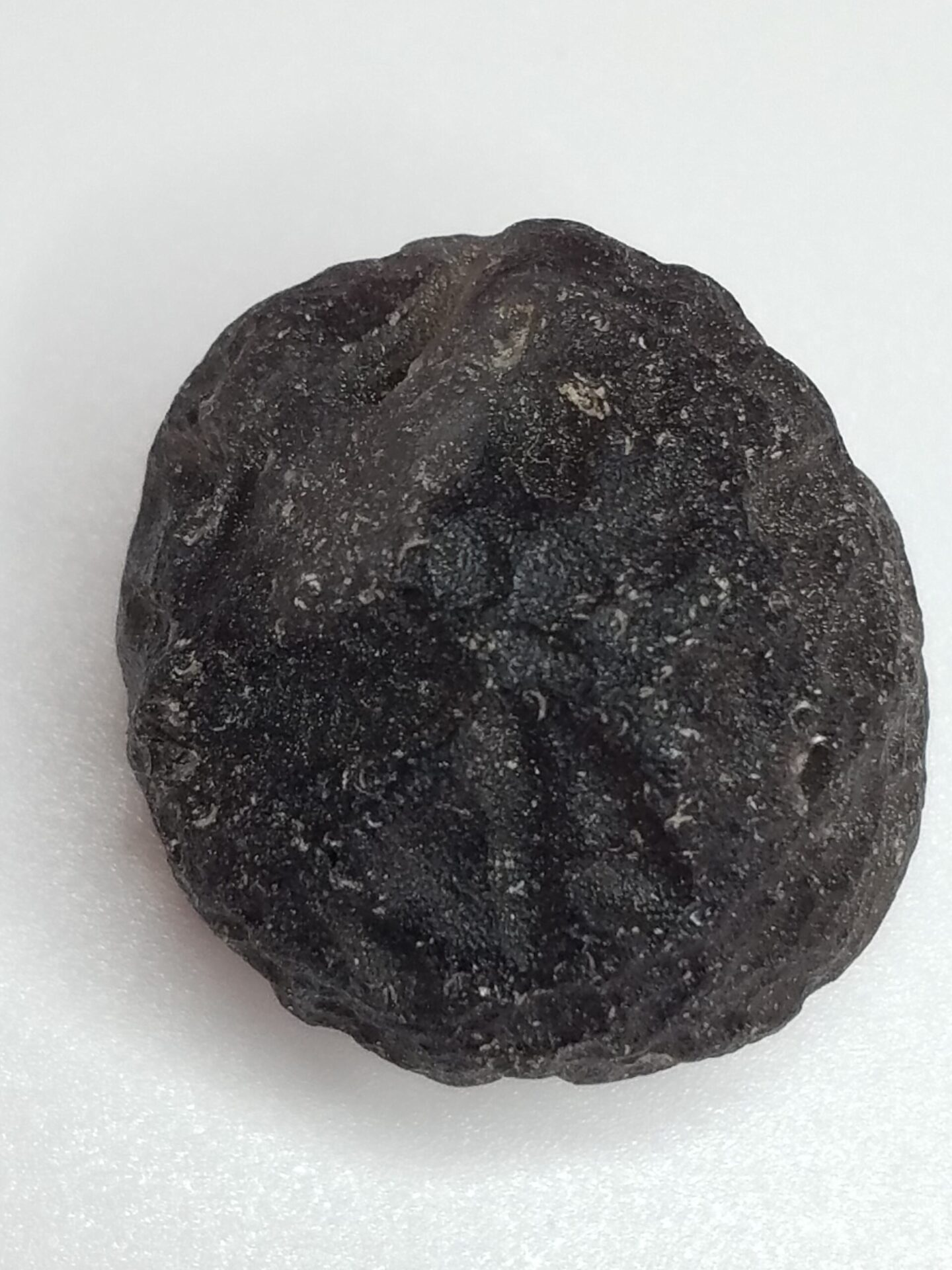 Colombianite Tektite - Grounded Lifestyles