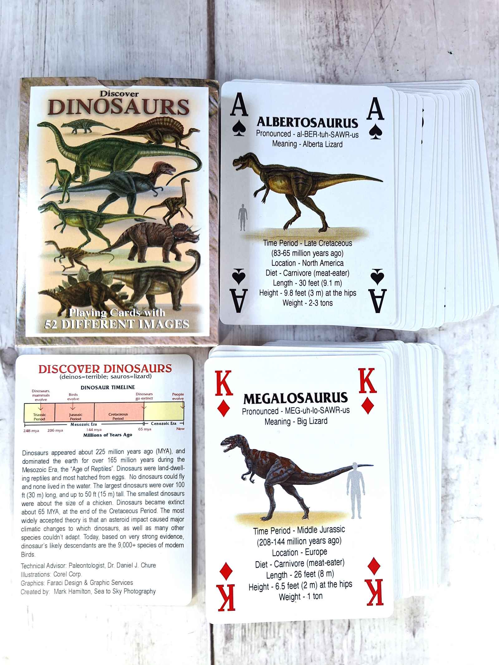Dinosaur Playing Card Deck: Learn and Play with Dinosaurs - Grounded ...